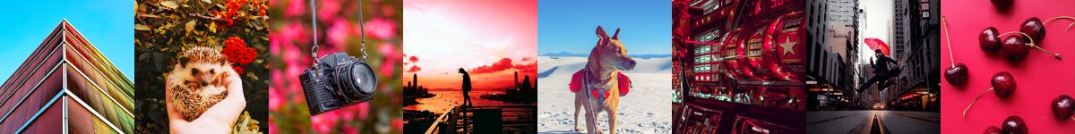 ACDSee Photo Studio Professional | Built for Professionals