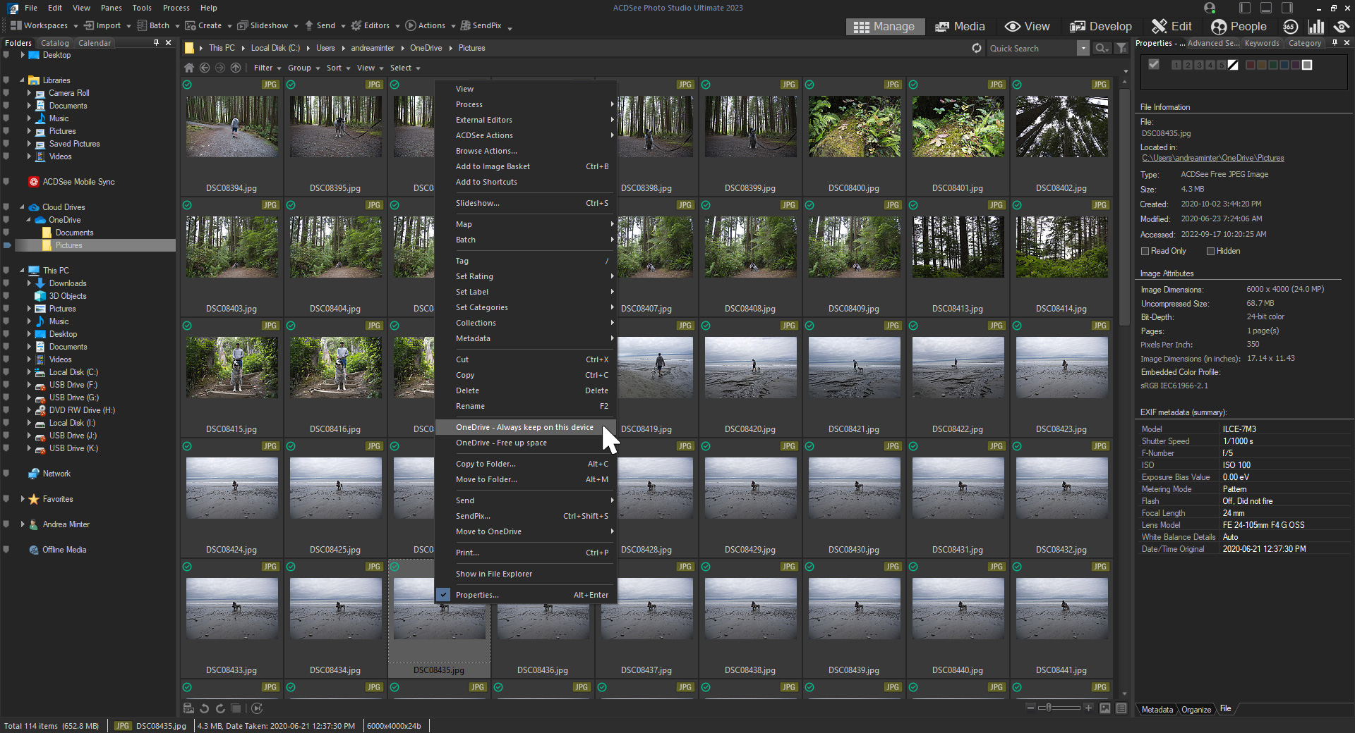 Manage and Edit Your OneDrive™ Photos With ACDSee